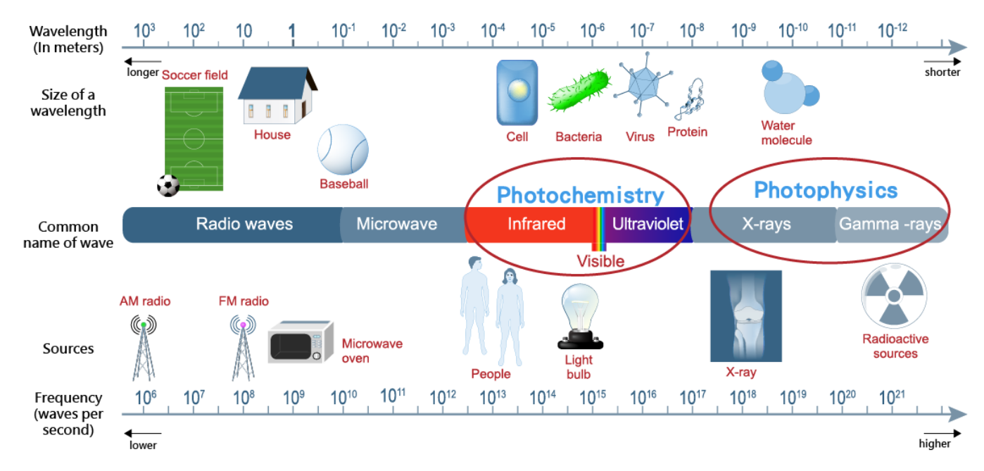 About Us – Liverage Biomedical Inc